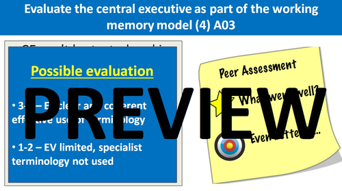 Working memory model - AQA A Level Psychology (Memory) | Teaching Resources