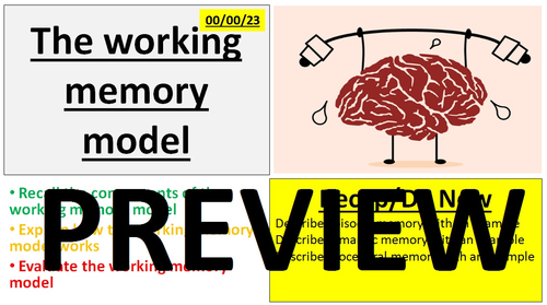 Working memory model - AQA A Level Psychology (Memory) | Teaching Resources