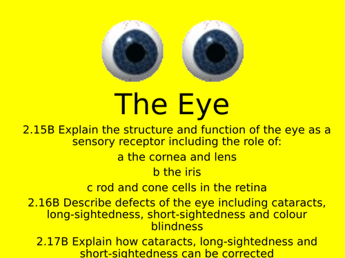 Edexcel SB2 The Eye Complete Lesson - GCSE Biology | Teaching Resources