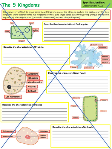 A Level Biology: Evolution & Classification Workbook | Teaching Resources