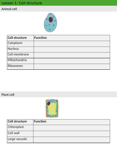 Edexcel GCSE Biology: Topic 1- Key Concepts L01: Cell structure ...