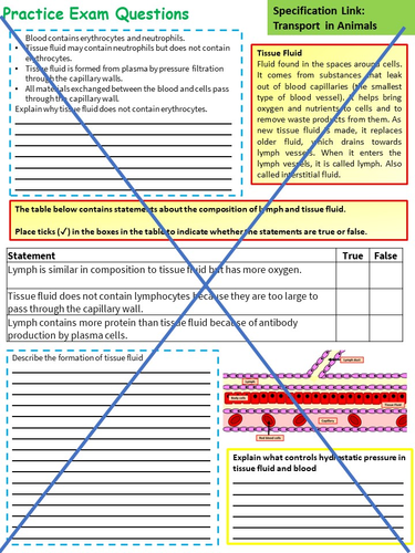 A Level Biology: Transport in Animals Workbook | Teaching Resources
