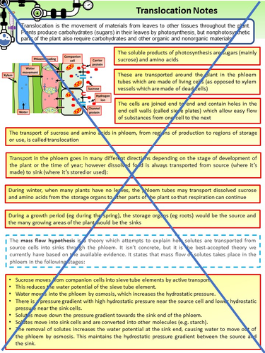 A Level Biology: Transport in Plants Workbook | Teaching Resources