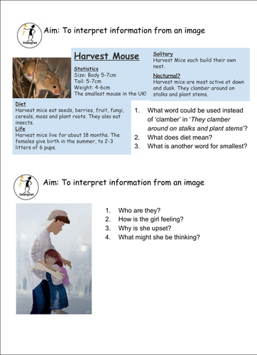 Key Stage 1 Comprehension Pack | Teaching Resources