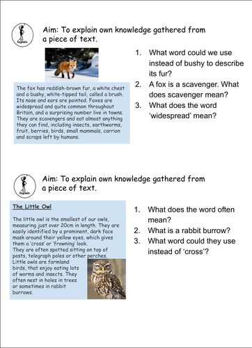 Key Stage 1 Comprehension Pack | Teaching Resources