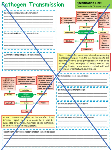 A Level Biology: Pathogens & Immunity Workbook | Teaching Resources