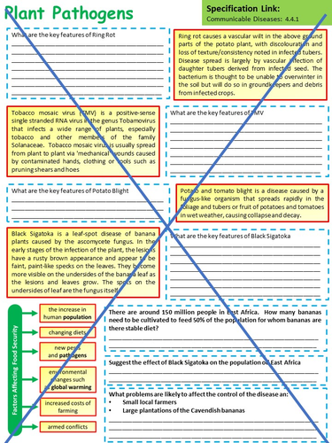 A Level Biology: Pathogens & Immunity Workbook | Teaching Resources