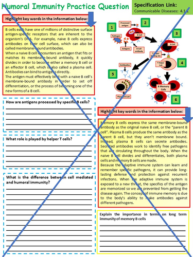 A Level Biology: Pathogens & Immunity Workbook | Teaching Resources