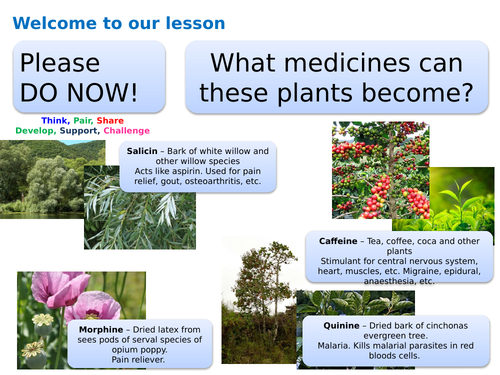 OCR A Level Geography - Disease Dilemmas -5. Can diseases ever be fully ...