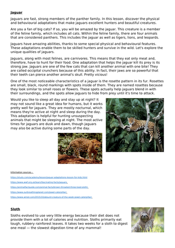 KS3 Geography - Why are the rainforests so important? - scheme of work ...