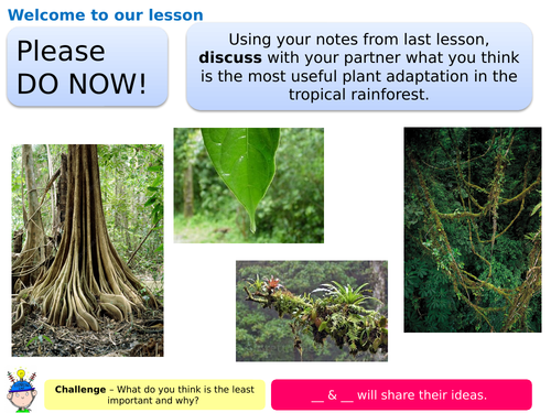 KS3 Geography - Why are the rainforests so important? - scheme of work ...