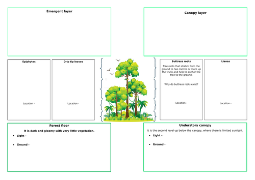 KS3 Geography - Why are the rainforests so important? - scheme of work ...