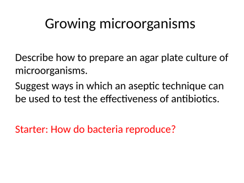 Antibiotics and bacterial growth | Teaching Resources