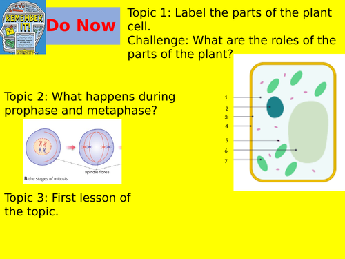 Edexcel CB3 SB3 Meiosis Complete Lesson - GCSE Biology/ Combined ...