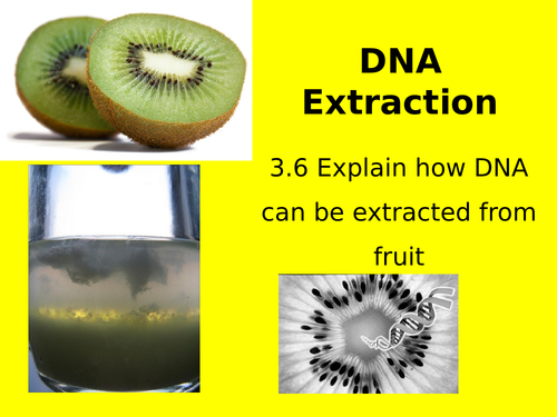 Edexcel CB3 SB3 Extracting DNA from Fruit Complete Lesson - GCSE ...