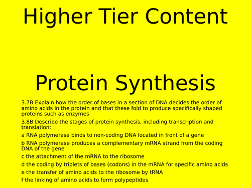 Edexcel SB3 Protein Synthesis Complete Lesson - GCSE Biology | Teaching ...