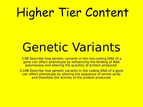 Edexcel SB3Genetic Variants and Phenotypes Complete Lesson - GCSE ...