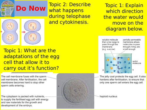 Edexcel CB3 SB3 Inheritance Complete Lesson - GCSE Biology/ Combined ...