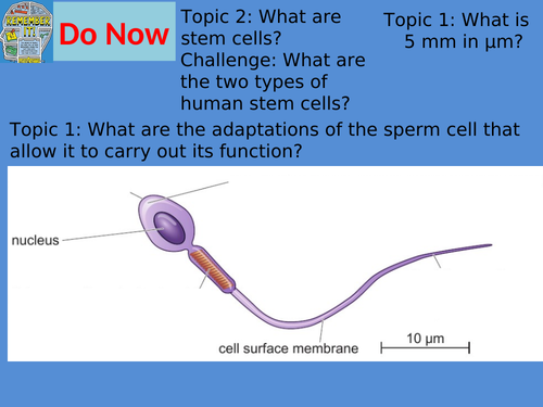 Edexcel CB3 SB3 Variation Complete Lesson - GCSE Biology/ Combined ...