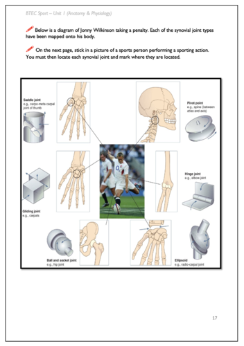BTEC Sport - Unit 1 The Skeletal System Student Workbook | Teaching ...