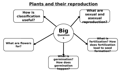 Revision PowerPoint for The Plants topic | Teaching Resources