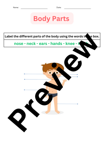 printable matching body parts worksheet for Special Education grade 1 ...
