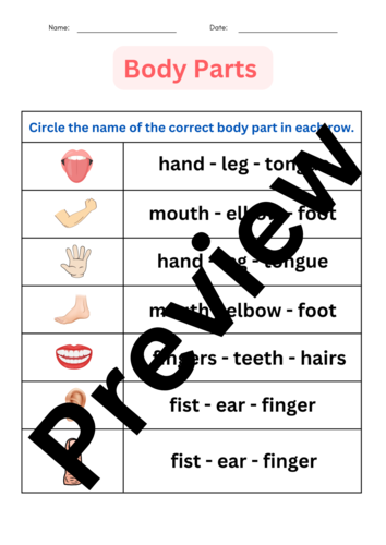 printable matching body parts worksheet for Special Education grade 1 ...
