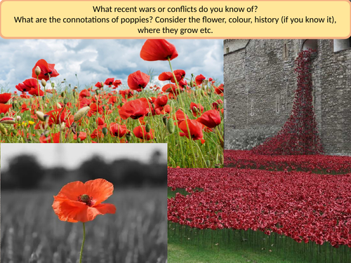 Poppies by Jane Weir. Power and Conflict. Created by AQA Examiner ...