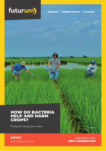 How do bacteria help and harm crops? | Teaching Resources