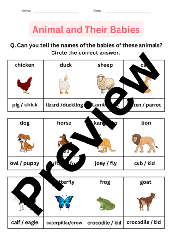 printable matching animals and their babies worksheet for grade 1, 2, 3 ...