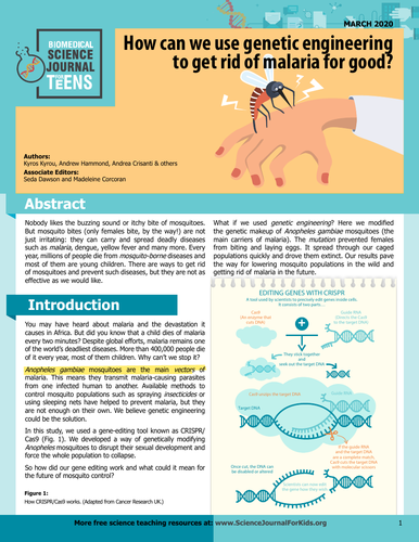 Edexcel CB4 SB4 Genetic Engineering Complete Lesson - GCSE Biology ...