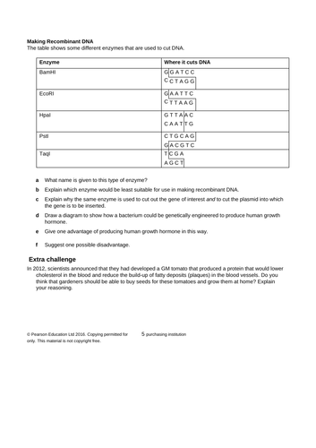 Edexcel CB4 SB4 Genetic Engineering Complete Lesson - GCSE Biology ...