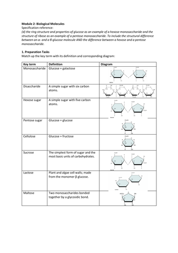 BUNDLE Biological Molecules Revision | Teaching Resources