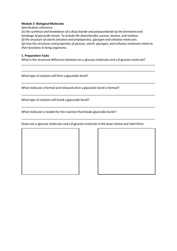 BUNDLE Biological Molecules Revision | Teaching Resources