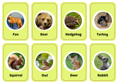 Animal Phot cards Printable Flashcards | Teaching Resources