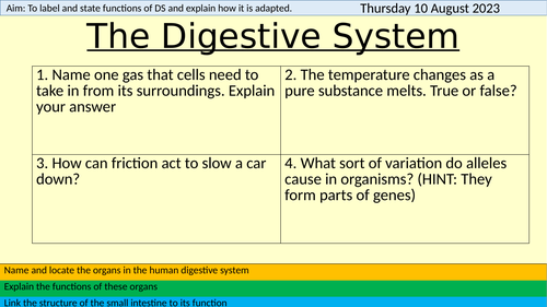 AQA GCSE Biology B3.02 The Human Digestive System | Teaching Resources