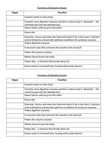 AQA GCSE Biology B3.02 The Human Digestive System | Teaching Resources