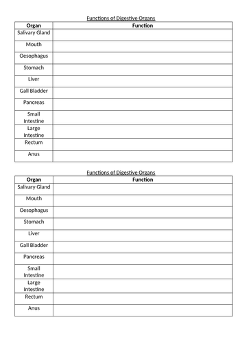 AQA GCSE Biology B3.02 The Human Digestive System | Teaching Resources