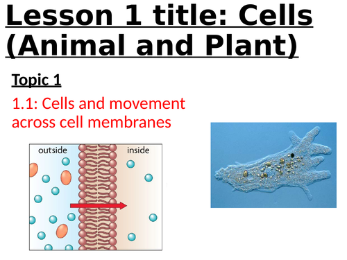 Lesson 1: Cells (WJEC 1.1. Cells & Movement Across Membranes ...