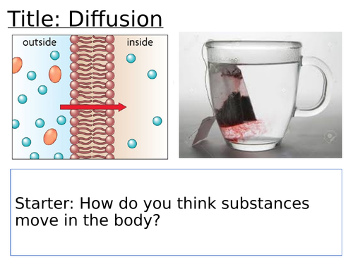 Lesson 5: Diffusion (WJEC 1.1. Cells & Movement Across Membranes ...