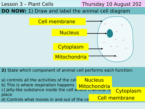 Year 7 Science - Cells - L2. Animal and Plant Cells - Activate Book 1 ...