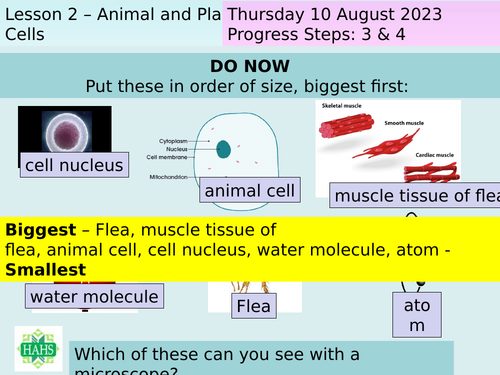 Year 7 Science - Cells - L2. Animal and Plant Cells - Activate Book 1 ...