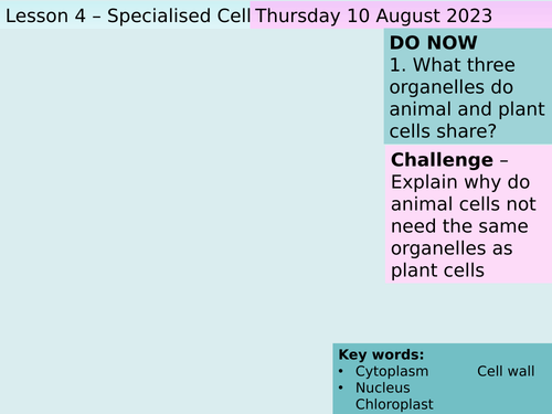 Year 7 Science - Cells - L3.Specialised Cells - Activate Book 1 ...