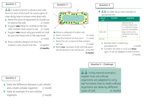 Year 7 Science - Cells - Knowledge Tracker / Revision Lesson | Teaching ...
