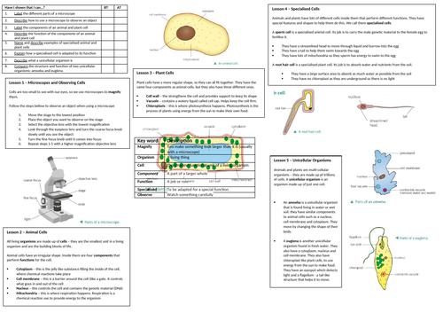 Year 7 Cells - Full Scheme Of Work - Activate Book 1 | Teaching Resources
