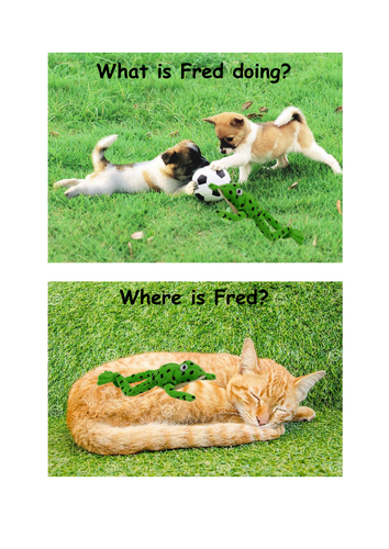 RWI Fred Comprehension Cards | Teaching Resources