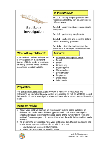 KS1 Birds Bundle | Hands-On Education | Teaching Resources