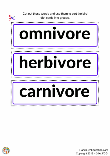 KS1 Birds Bundle | Hands-On Education | Teaching Resources