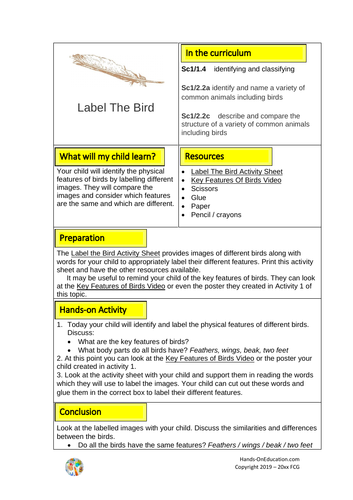 KS1 Birds Bundle | Hands-On Education | Teaching Resources