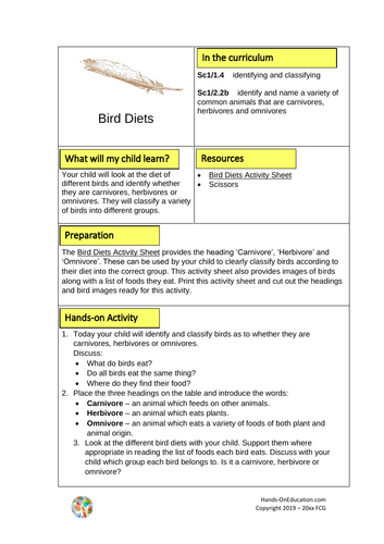 KS1 Birds Bundle | Hands-On Education | Teaching Resources